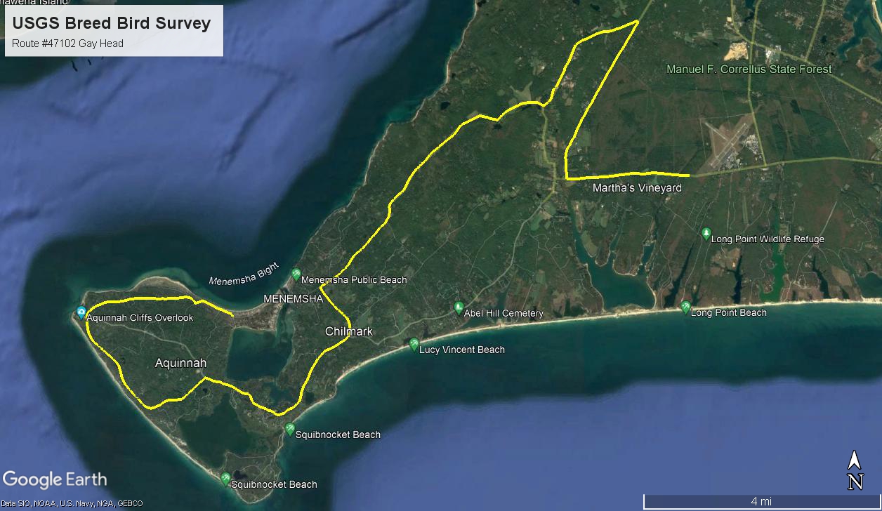 USGS Breeding Bird Survey data for Martha's Vineyard
